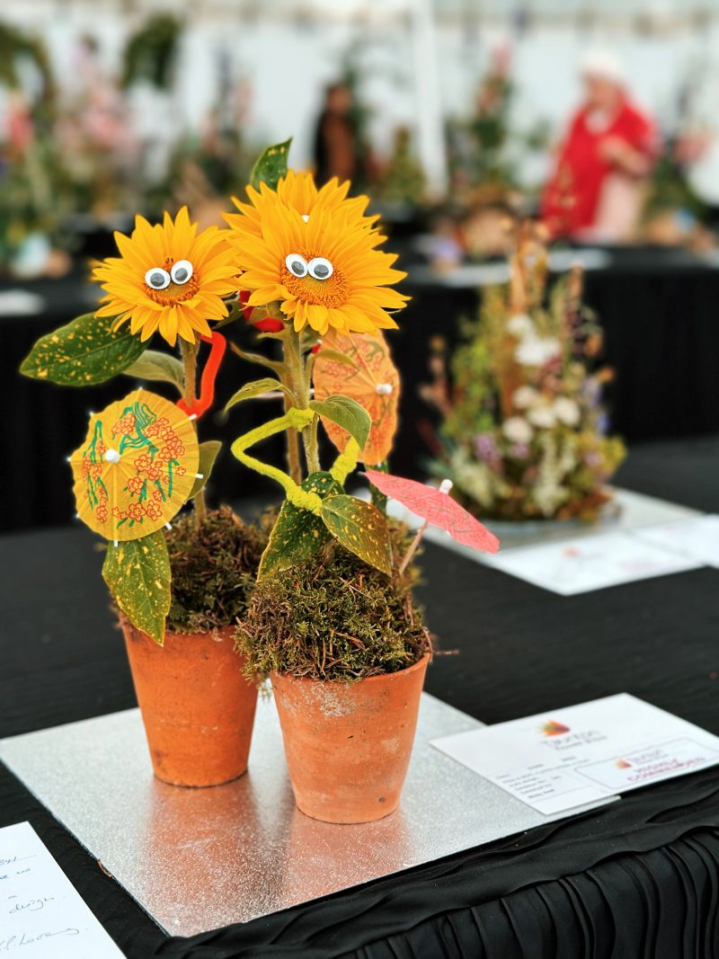 Competitions | Taunton Flower Show | Taunton Events